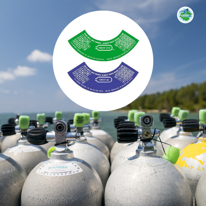 Understanding the different colour quadrant cylinder stickers from IDE ...